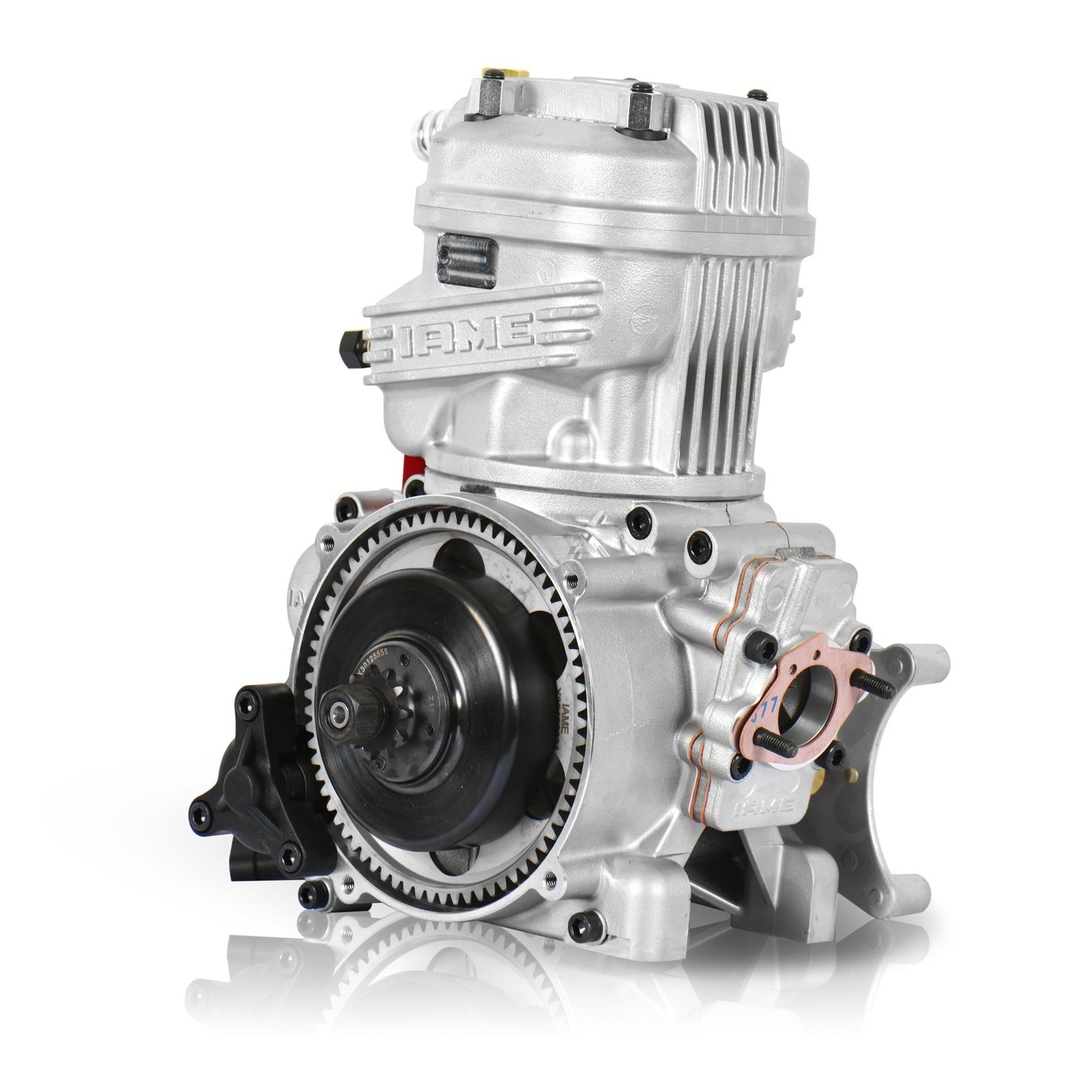IAME X30 TaG Complete Engine - Engines & Parts - KartStore-USA